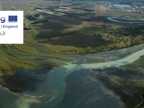 Our projects | Kent Wildlife Trust